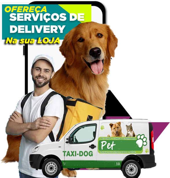 Didoo Catálogo Digital Online
